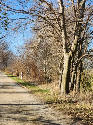 Best Hikes and Trails in Rock Island Trail State Park | AllTrails