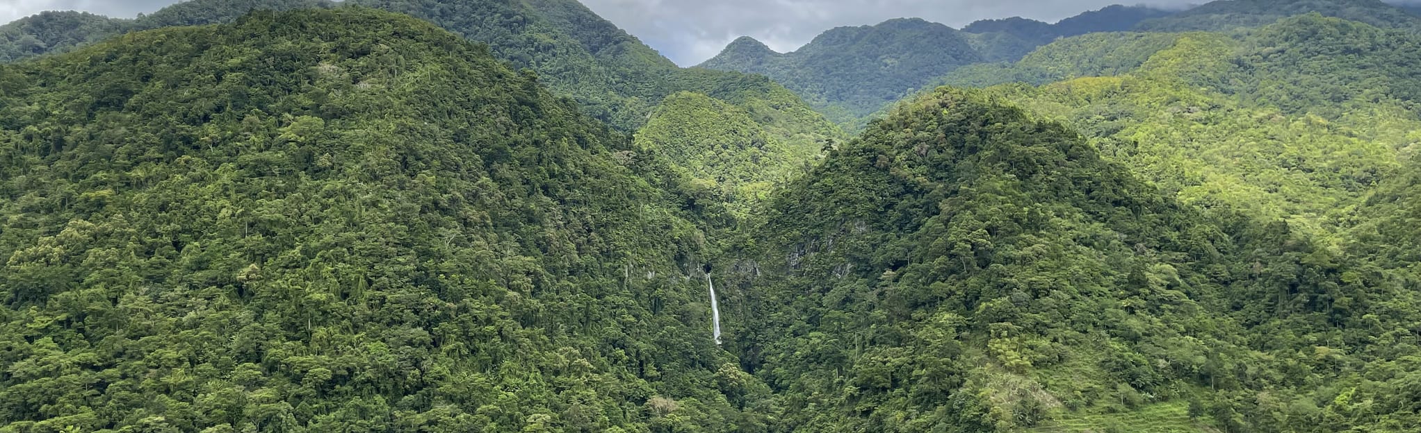 Mount Mandalagan Summit Trail via Don Salvador | Map, Guide - Negros ...