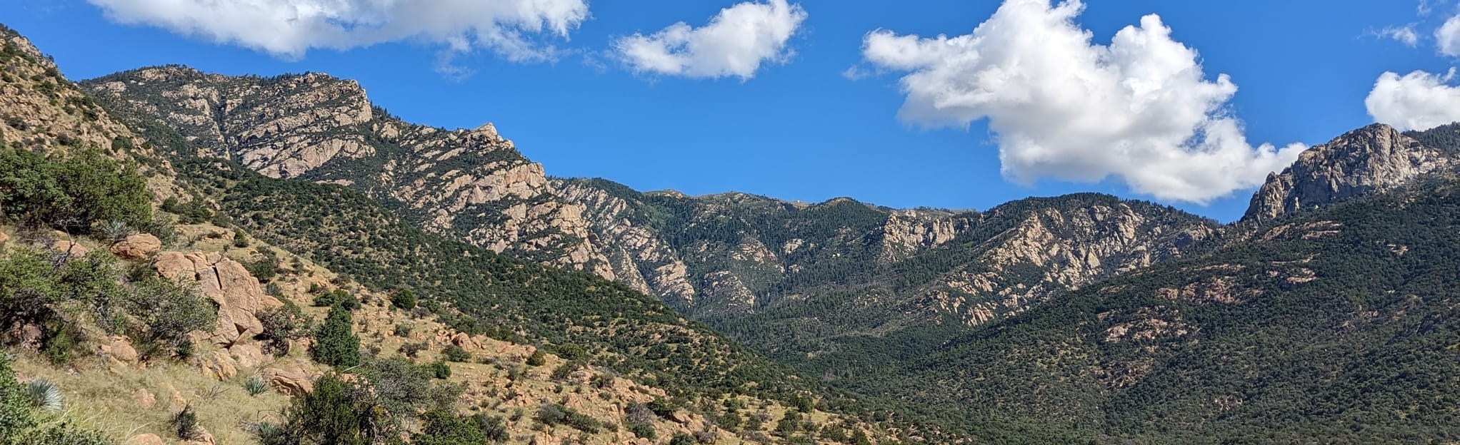 Grant Goudy Ridge Trail: 37 foto's - Arizona | AllTrails