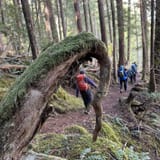 Skookum Falls via Skookum Flats Trail, Washington - 120 Reviews, Map ...