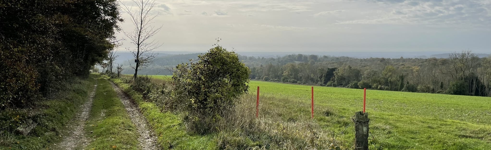 Bignor Hill and Upwaltham Hill via The Denture Walk: 420 Fotos - West ...