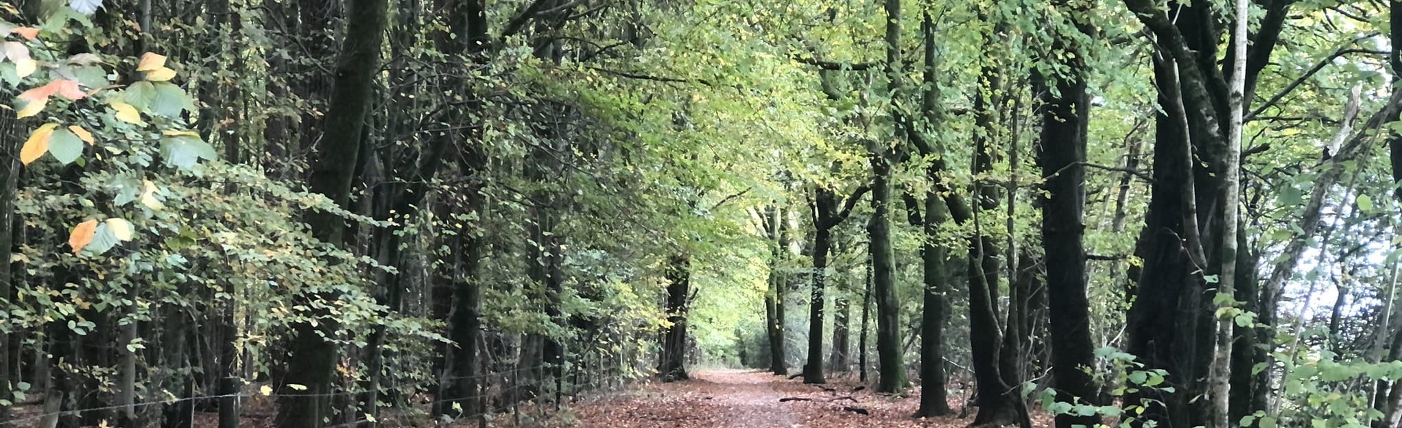 East Meon Walk: 36 Reviews, Map - Hampshire, England | AllTrails