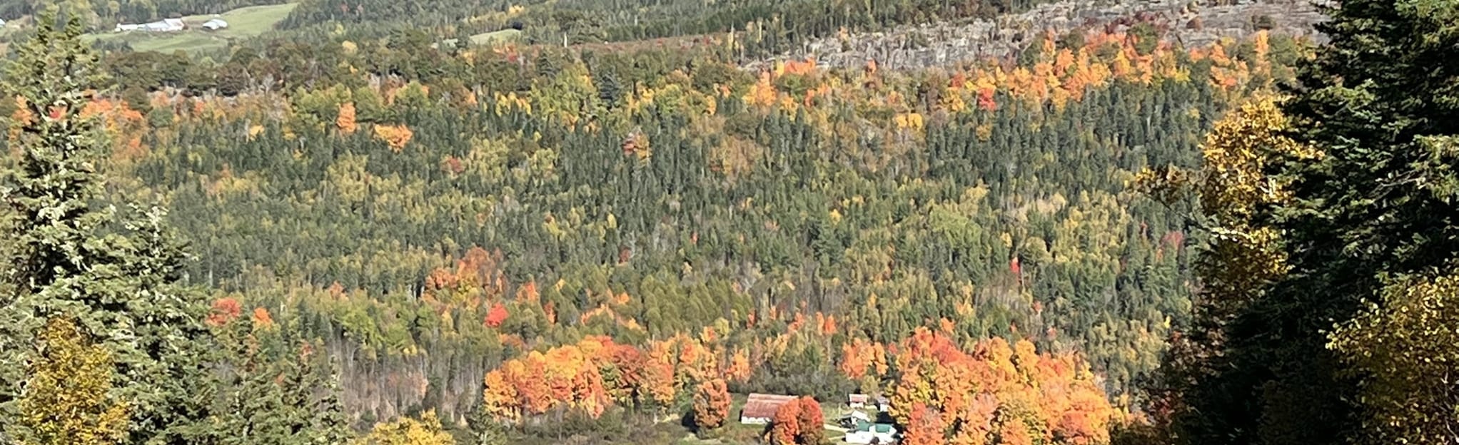 Poley Mountain, New Brunswick, Canada - 11 Reviews, Map | AllTrails