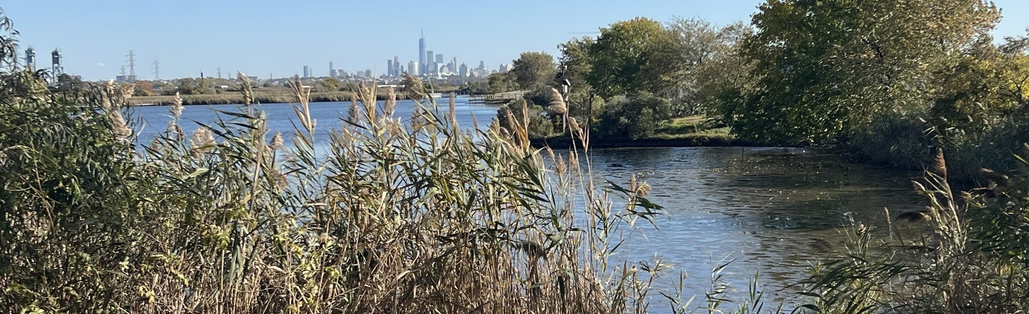 Lyndhurst Nature Reserve | Map, Guide - New Jersey | AllTrails