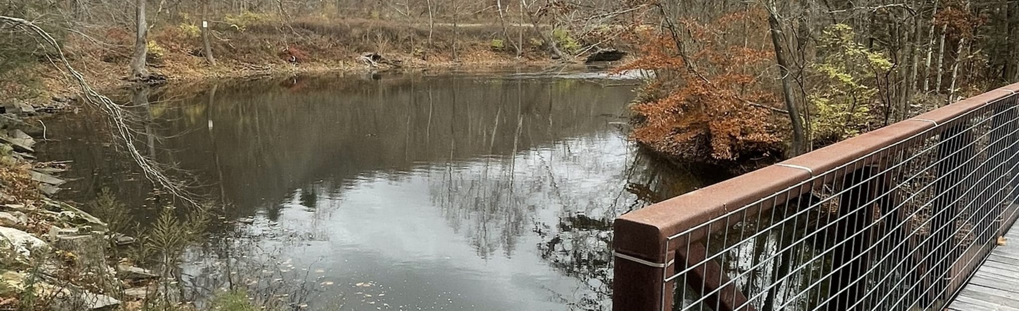 River Road Loop: 79 Reviews, Map - Connecticut | AllTrails