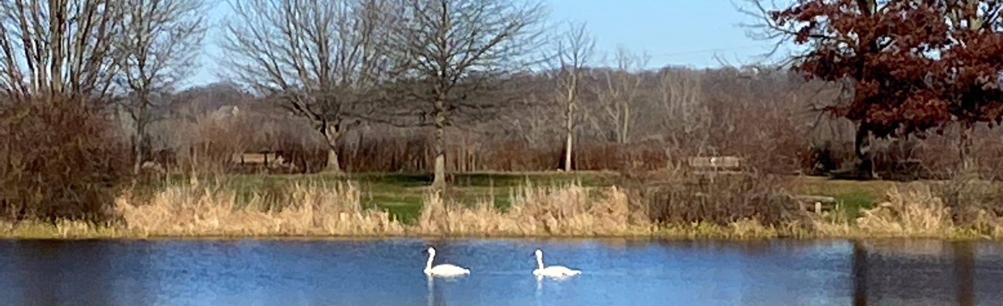 River Styx Park: 218 Reviews, Map - Ohio | AllTrails