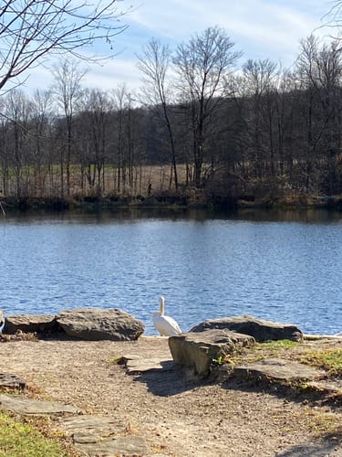 Best Hikes and Trails in River Styx Valley North Park | AllTrails