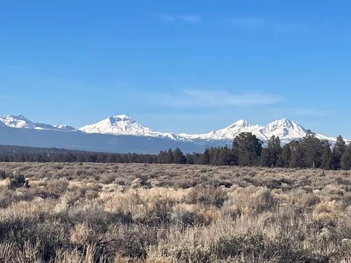 Best Mountain Biking Trails in Maston | AllTrails