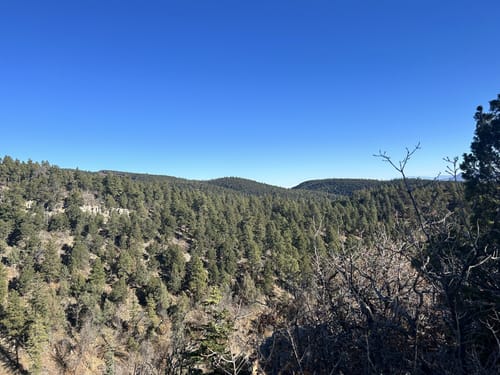 2023 Best 10 Moderate Trails in Cedar Crest | AllTrails