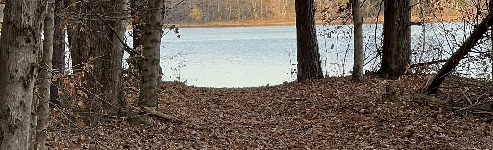 Hardy Lake Island Trail - Indiana | AllTrails