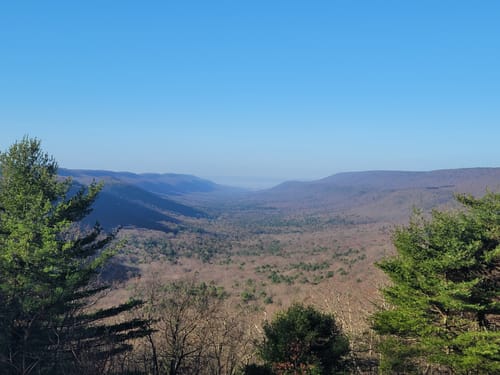 Best Hikes and Trails in Snyder-Middleswarth Natural Area | AllTrails