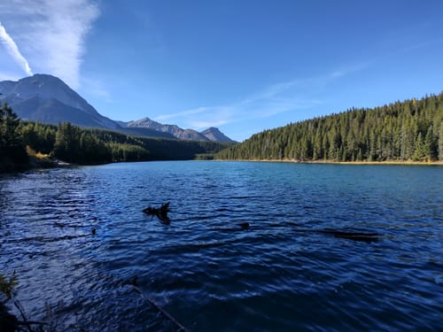 Best Hikes and Trails in Allison/Chinook Public Land Use Zone | AllTrails