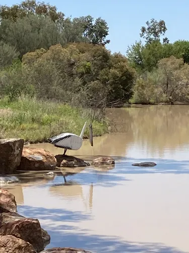 Best Hikes and Trails in Cunnamulla Bushlands | AllTrails