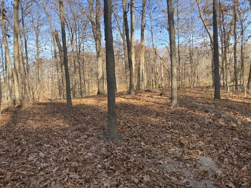 2023 Best trails in Sam Parr State Park | AllTrails
