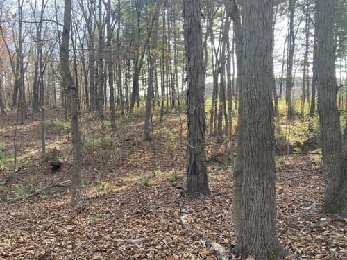 2023 Best trails in Sam Parr State Park | AllTrails