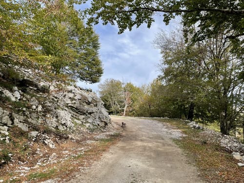 2023 Best Trails in Roccagorga | AllTrails