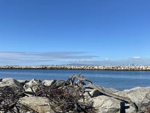 10 Best Trails and Hikes in Azusa | AllTrails