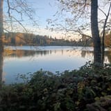 Waughop Lake Loop , Washington - 698 Reviews, Map | AllTrails