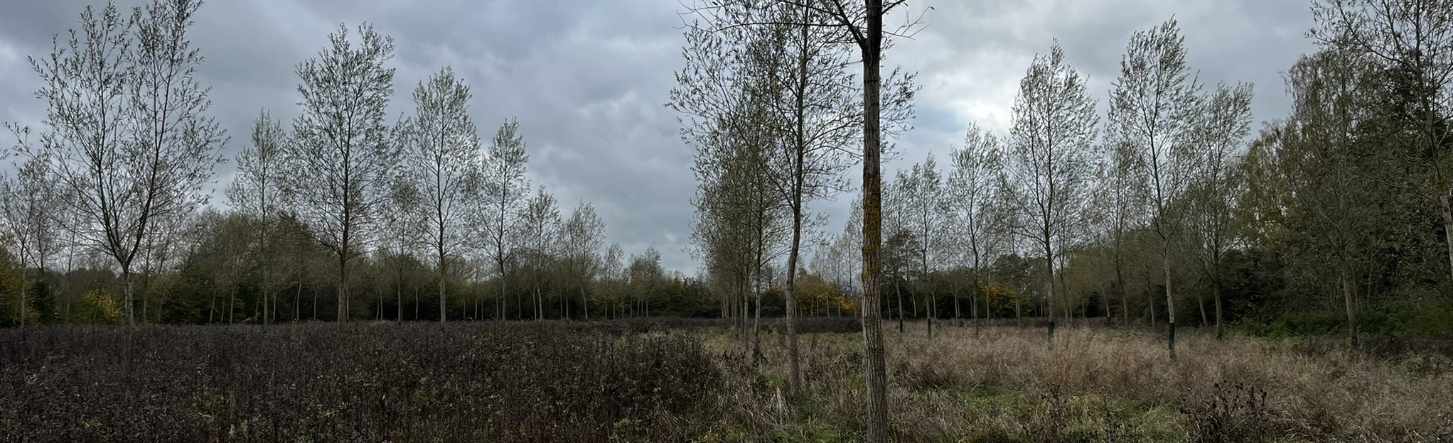 Aldermaston Wharf and Padworth Walk: 70 foto's - Berkshire, Engeland ...
