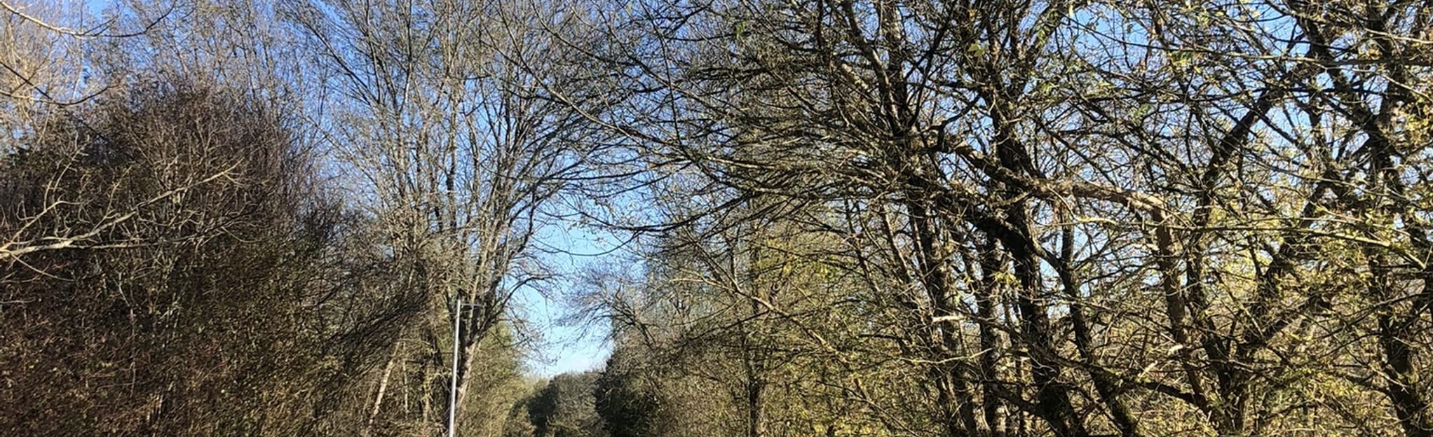 Along the Isle by the Route des Graves | Map, Guide - Gironde, France ...