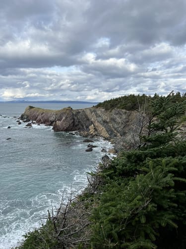Best Hikes and Trails in Chance Cove | AllTrails