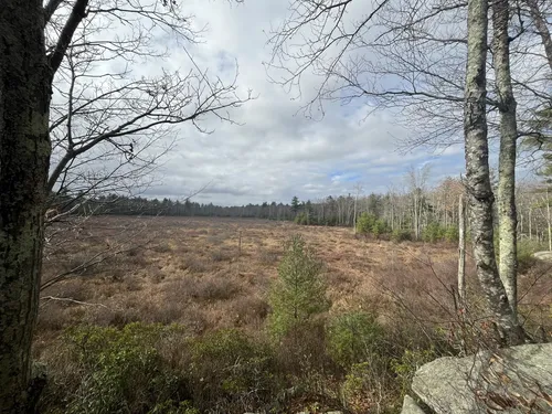 Best Hikes and Trails in Townsend State Forest | AllTrails