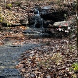 Fall Hollow Falls Trail, Tennessee - 173 Reviews, Map | AllTrails