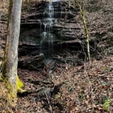 Fall Hollow Falls Trail, Tennessee - 173 Reviews, Map | AllTrails