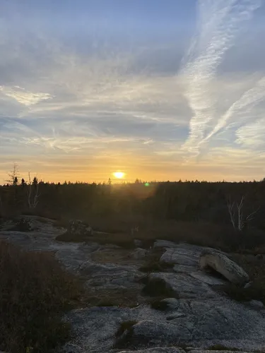 Best Hikes and Trails in Beechville Lakeside Timberlea Trail Park ...