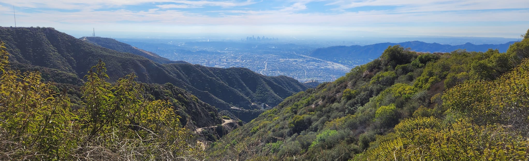 Verdugo Peak, California - 208 Reviews, Map | AllTrails