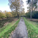 Petts Wood and Hawkwood Circular, London, England - 197 Reviews, Map ...