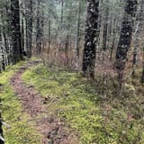 Two Lakes Trail, Alaska - 380 Reviews, Map | AllTrails