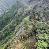 Moanalua Valley and Tripler Ridge Trail Loop, Oahu, Hawaii - 231 ...