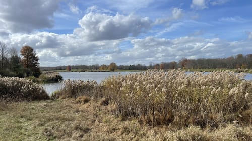 Best Hikes and Trails in Mercer Meadows | AllTrails