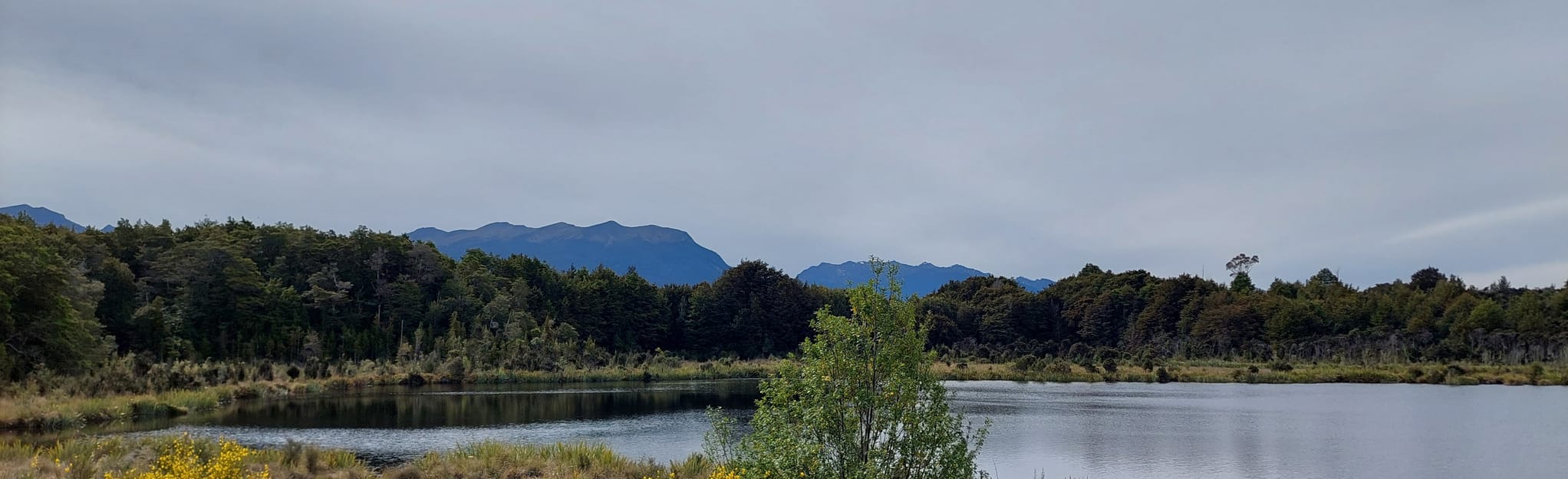 Lake Mistletoe Track: 27 Reviews, Map - Southland, New Zealand | AllTrails