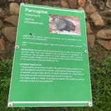 Wonderboom Hiking Trail, Gauteng, South Africa - 129 Reviews, Map ...