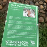 Wonderboom Hiking Trail, Gauteng, South Africa - 129 Reviews, Map ...