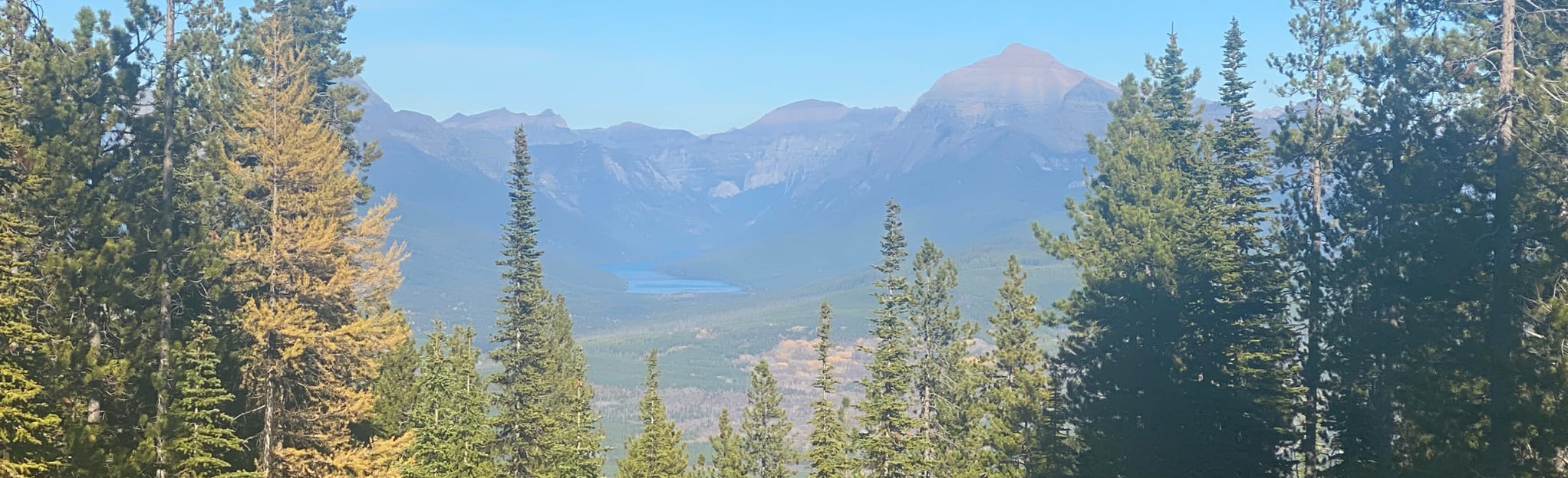 Cyclone Lookout Trail - Montana | AllTrails