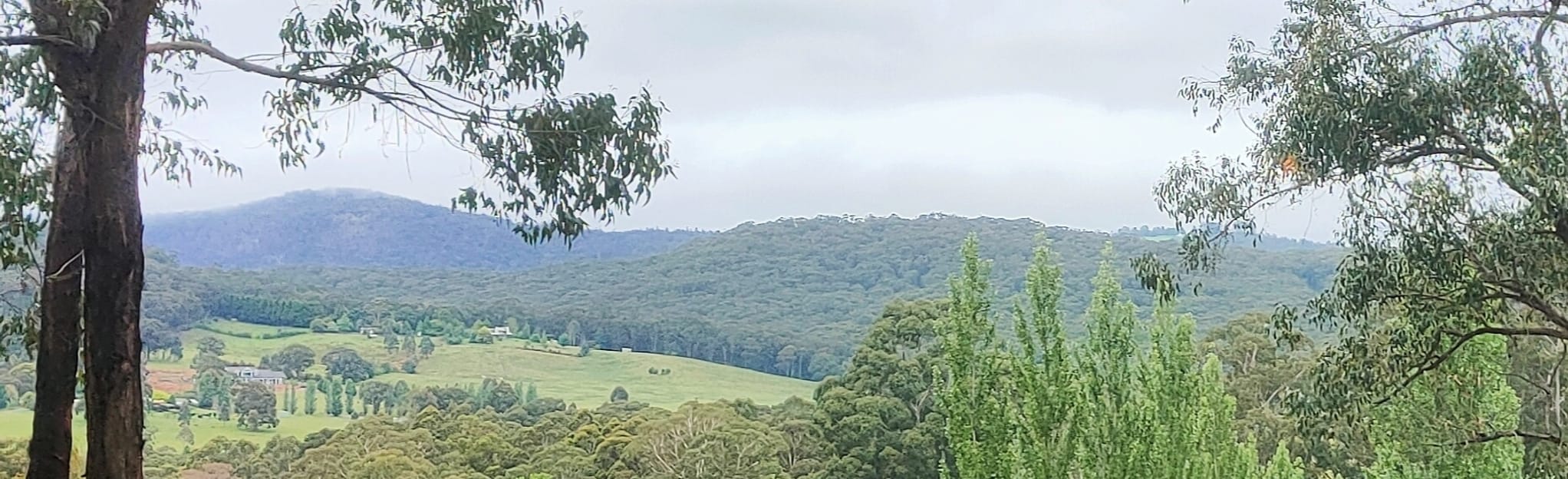 Condon, Buffer Break and Ellis Loop, Victoria, Australia - 7 Reviews ...