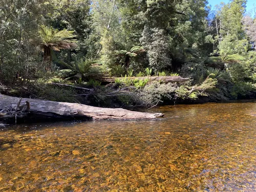 Best Forest Trails in Styx | AllTrails