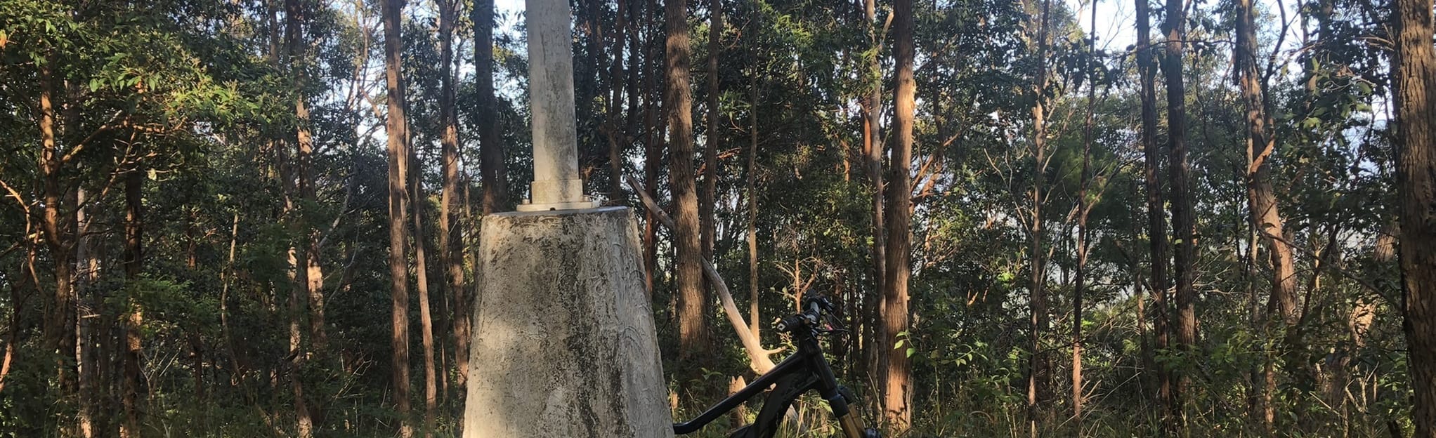 Burringbar Mountain Summit Path: 57 Reviews, Map - New South Wales ...