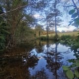 Petts Wood and Hawkwood Circular, London, England - 197 Reviews, Map ...