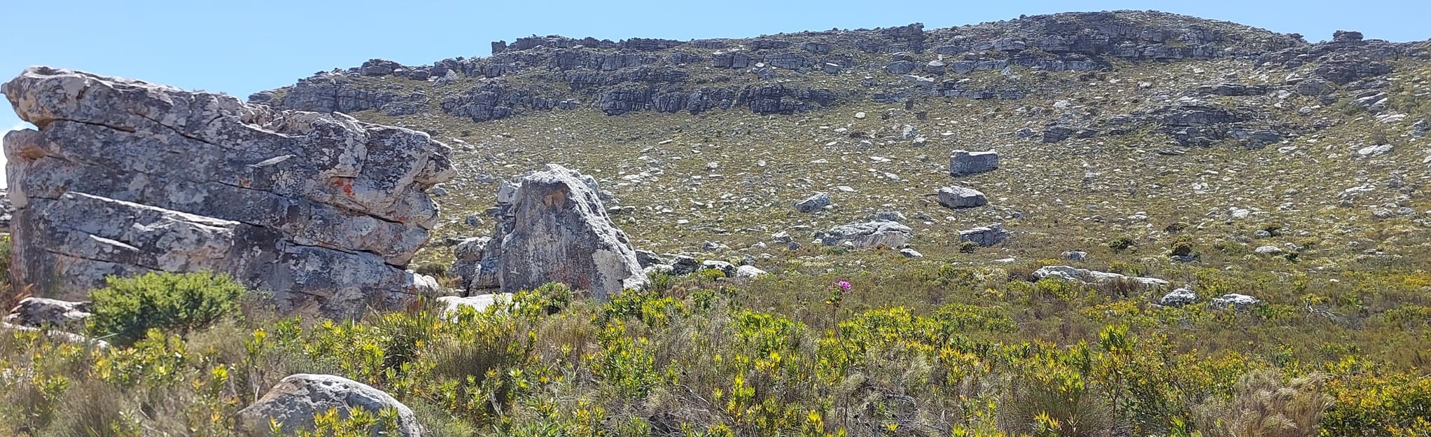 Silvermine Gate 2 to Muizenberg Peak, 170 Fotos - Western Cape, South ...
