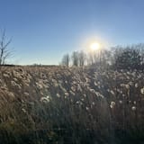 Effigy Tumuli Trail, Illinois - 165 Reviews, Map | AllTrails