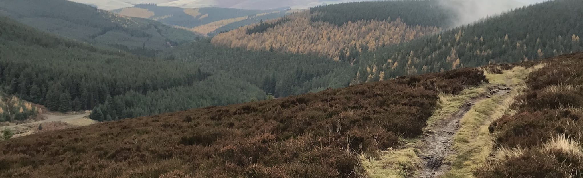 Traquair, Blackhouse Forest and Dun Rig Circular: 31 fotos - Scottish ...