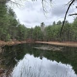 Arbutus Park and Raven Rookery Trail Loop , Massachusetts - 528 Reviews ...