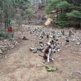 Arbutus Park and Raven Rookery Trail Loop , Massachusetts - 528 Reviews ...