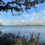 Itchenor Circular, West Sussex, England - 247 Reviews, Map | AllTrails