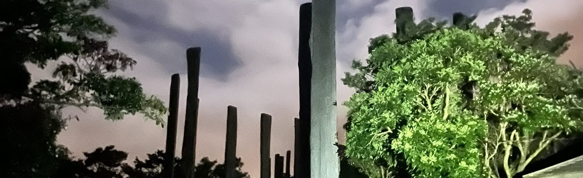 Wisdom Path and Ngong Ping Tree Trail: 536 fotos - Islands, Hong Kong ...