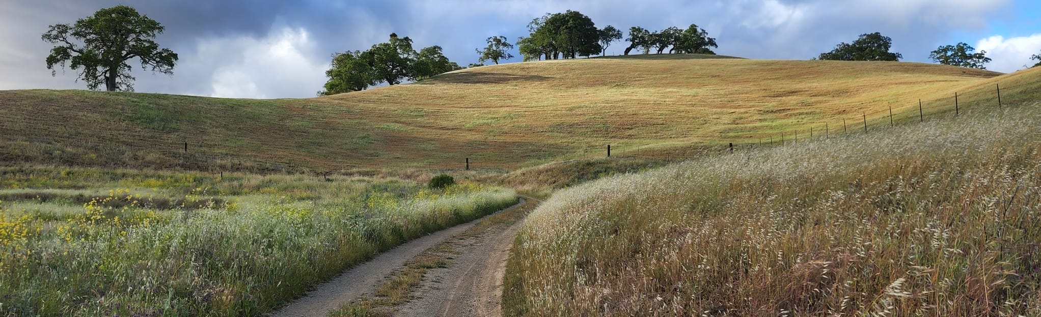 Circle Corral and Bass Lake Loop: 56 Reviews, Map - California | AllTrails